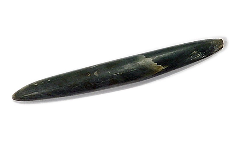 Captain William Deloitte and the Pacific… | The Rocks Discovery Museum