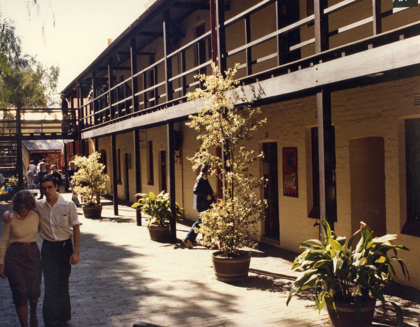 Playfair St Terraces | The Rocks Discovery Museum
