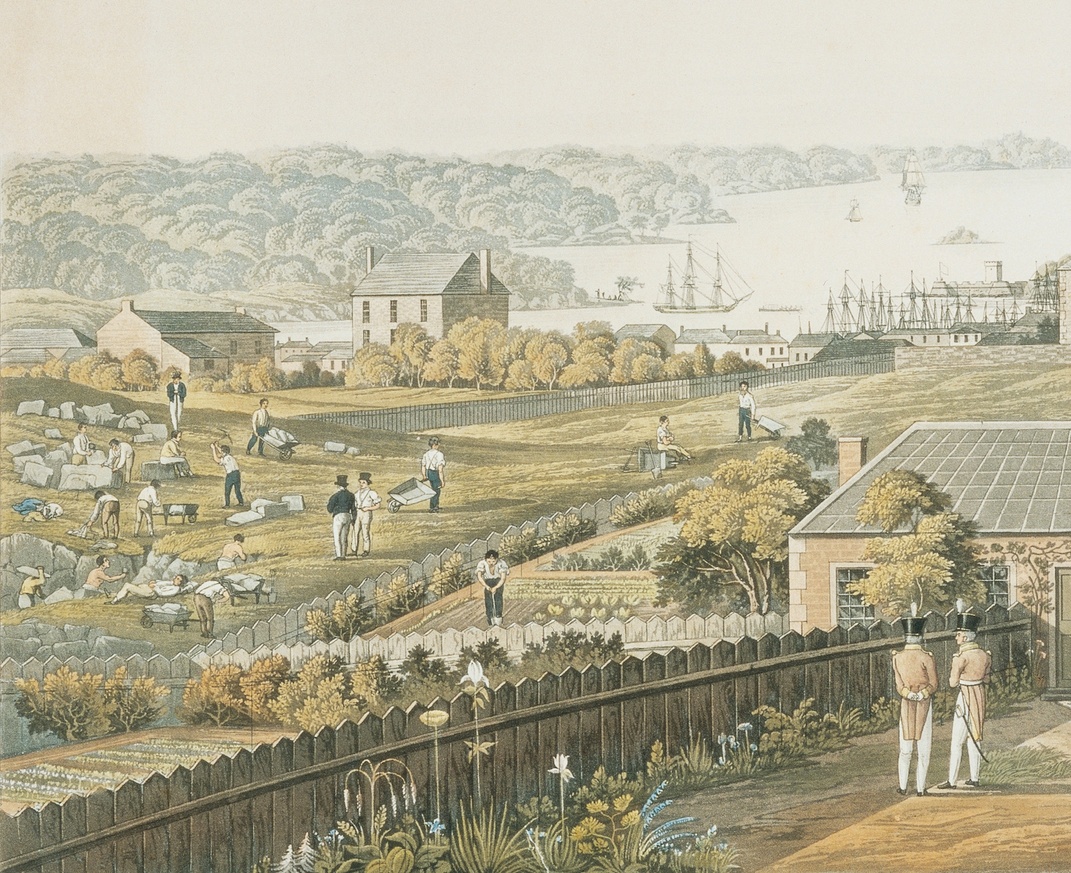 The Rock of The Rocks | The Rocks Discovery Museum