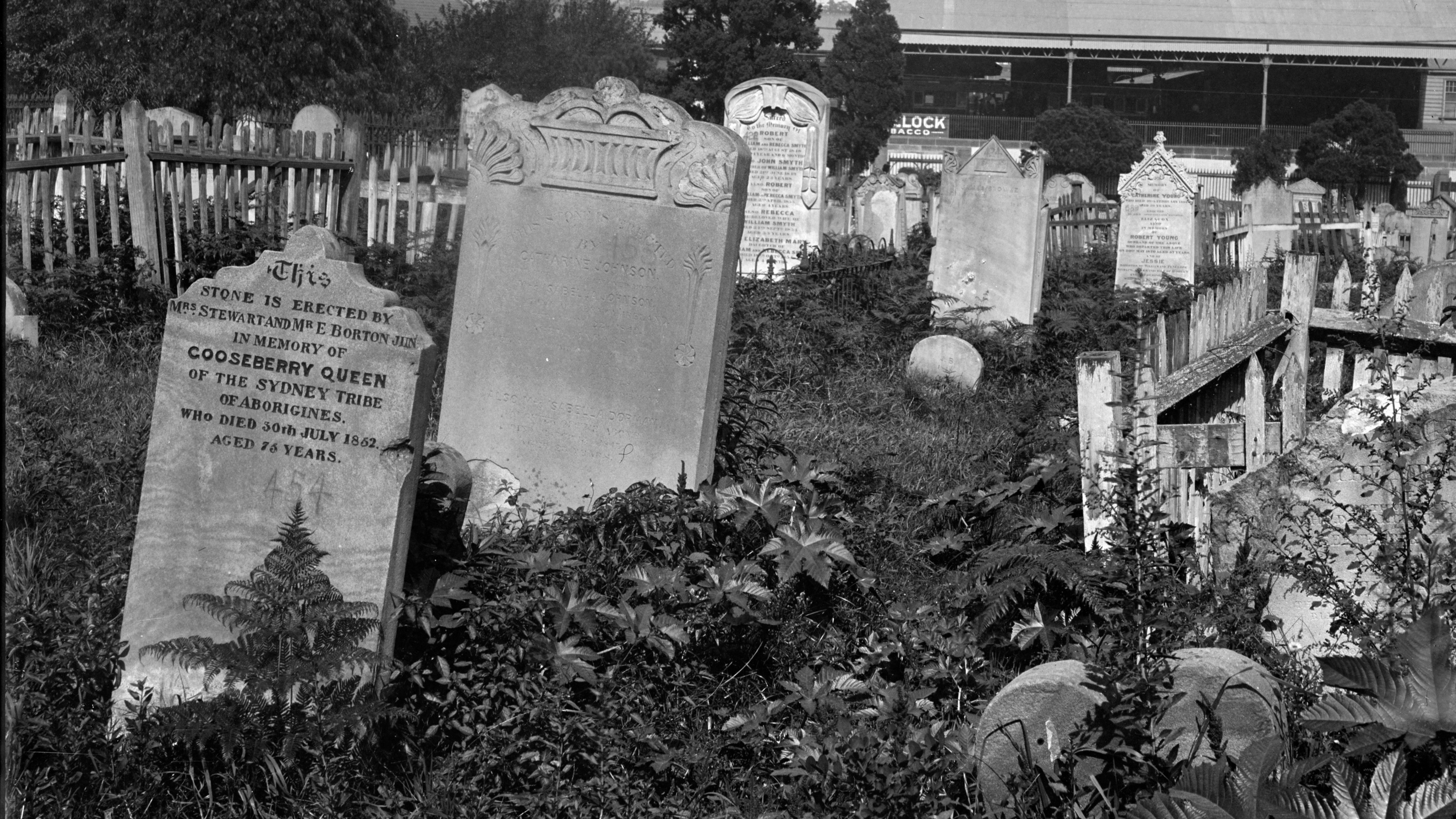 Cora Gooseberry | The Rocks Discovery Museum
